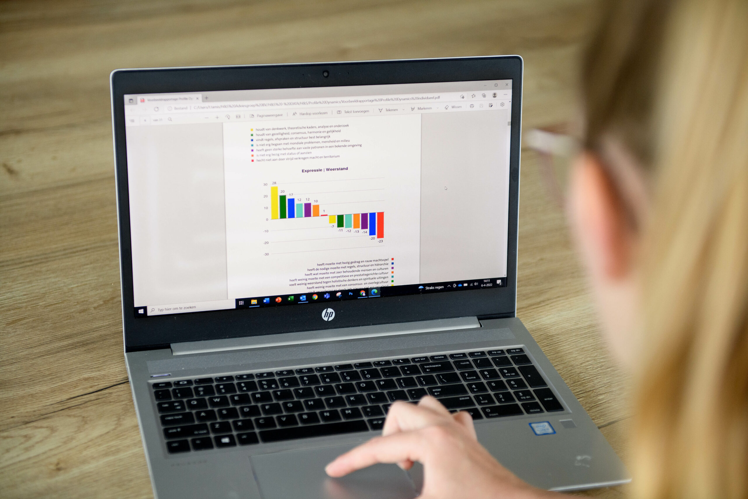 Profile Dynamics - H&S Adviesgroep